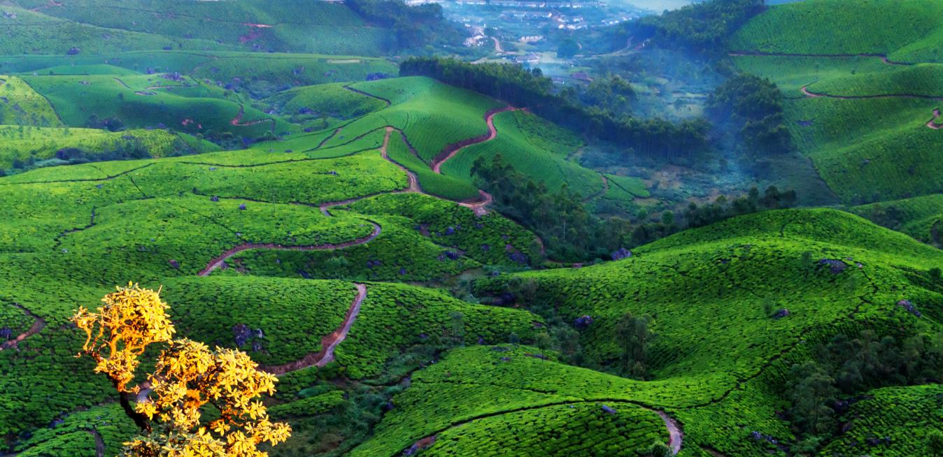 Munnar Hill Station