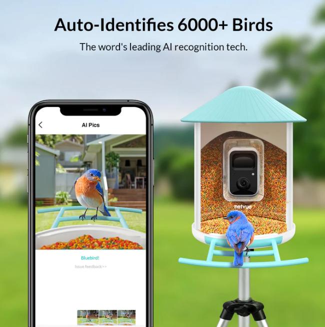 Netvue Birdfy Feeder Cam | Smart AI Bird Feeder Camera