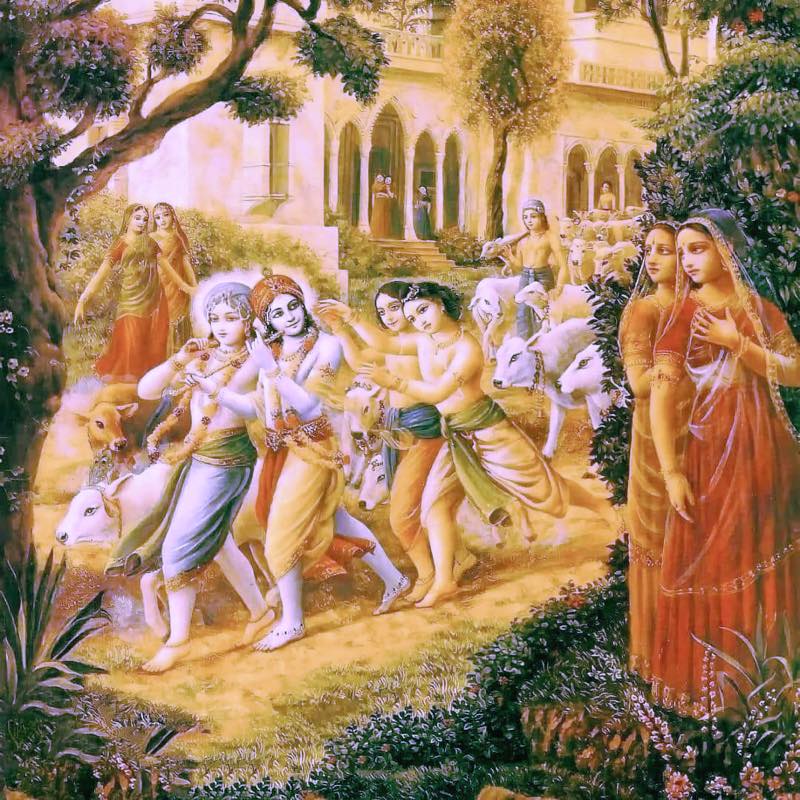 The Transcendental Beauty of Krishna